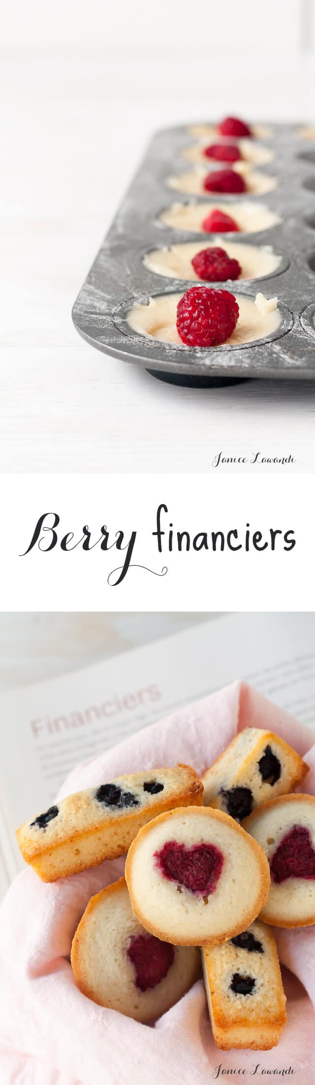 Berry financiers