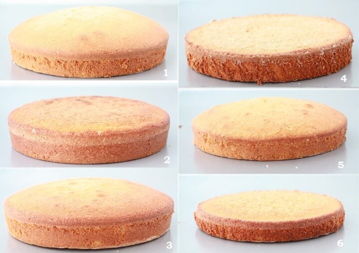 How to bake a flat cake and make a cake rise evenly - The Bake School