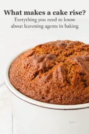 The complete guide to leavening agents and chemical leaveners - The ...